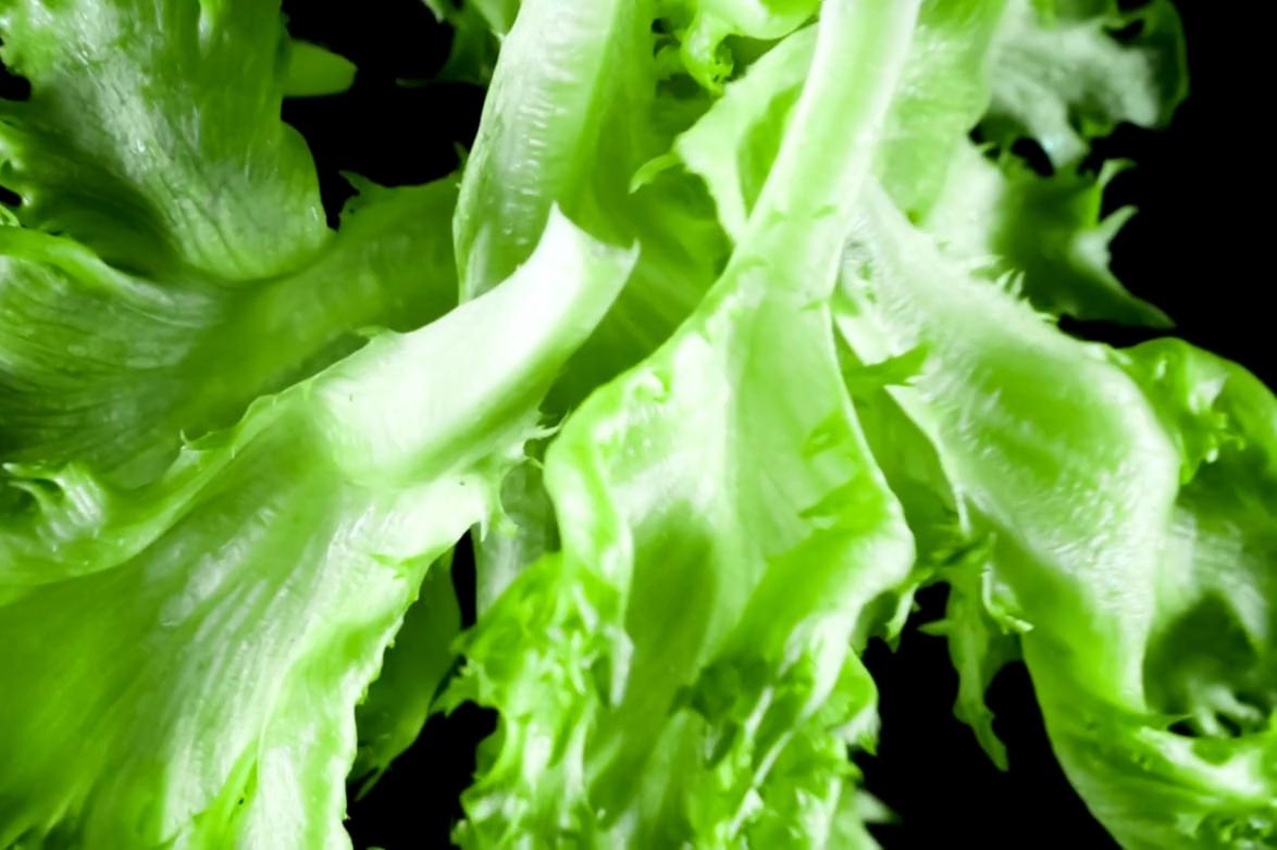 Home - Blue Lettuce | Fresh and Delicious